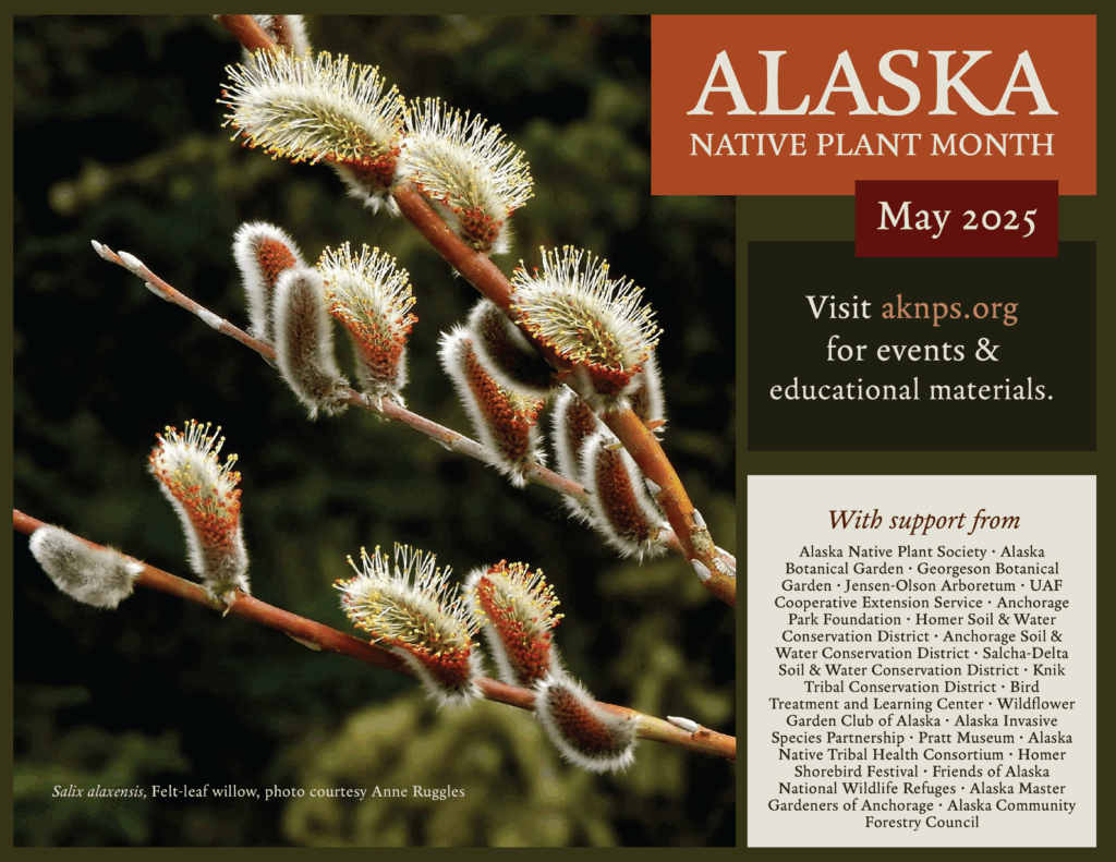 Alaska Native Plant of the Year – Alaska Native Plant Society